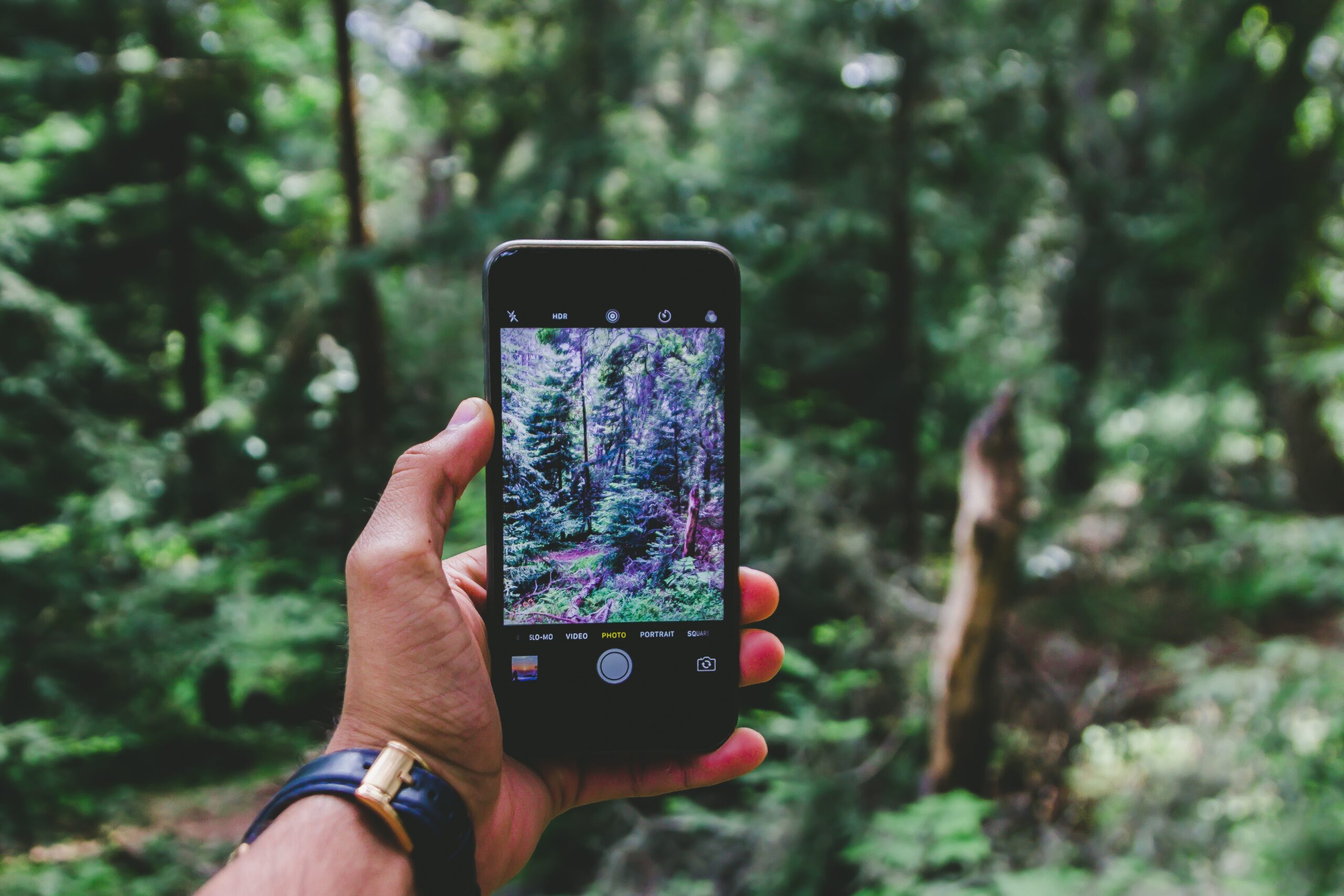 Getting Outdoors Reduces Smartphone Use—But Only If You Go Wild - The ...